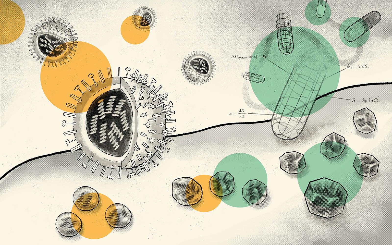 Researchers sabotage the flu virus’ “assembly factories” | UCP