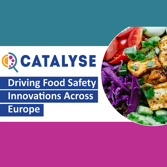 World Food Safety Day - Food safety innovations webinar in Europe | UCP
